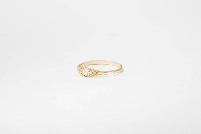 Diamond Ovate III Ring – Ochre Objects